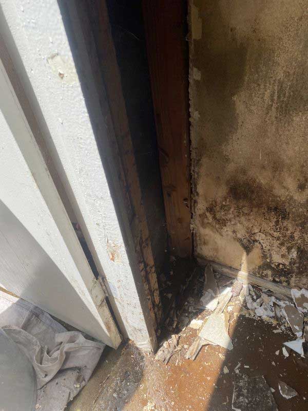 Gallery – DryOut Cleanup & Restoration